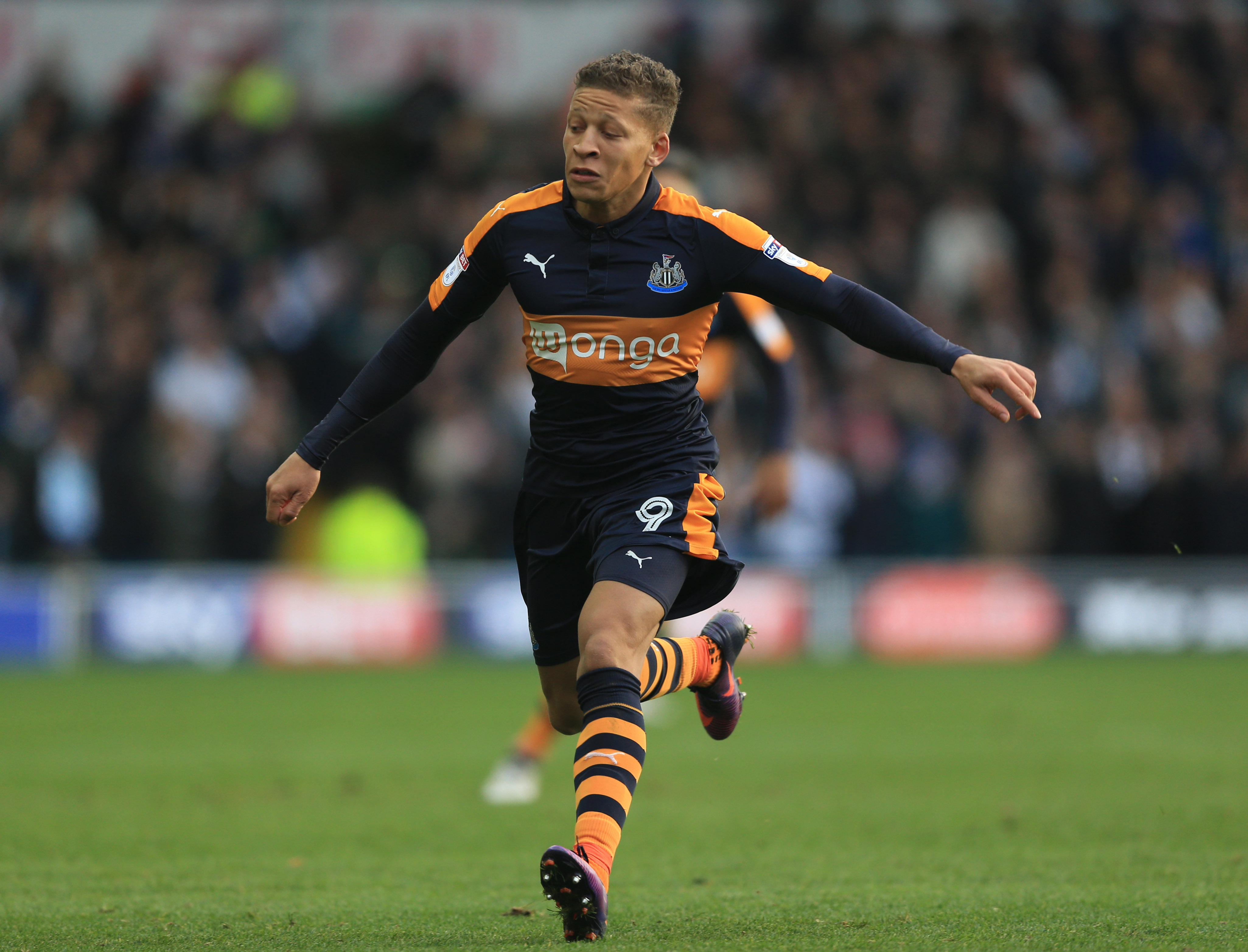 Rafael Benitez rewarded for his faith in striker Dwight Gayle | TEAMtalk