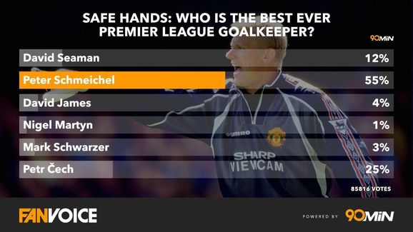 Runaway winner in fan poll on best ever PL goalkeeper | TEAMtalk