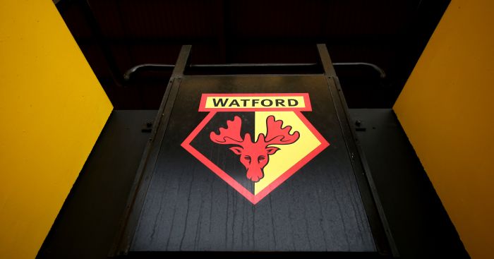 Watford sign Sweden international winger | TEAMtalk