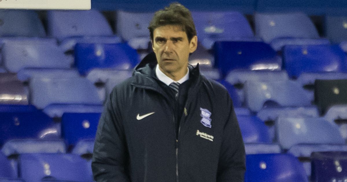 EXCLUSIVE: Axe set to fall on Karanka after Birmingham City review