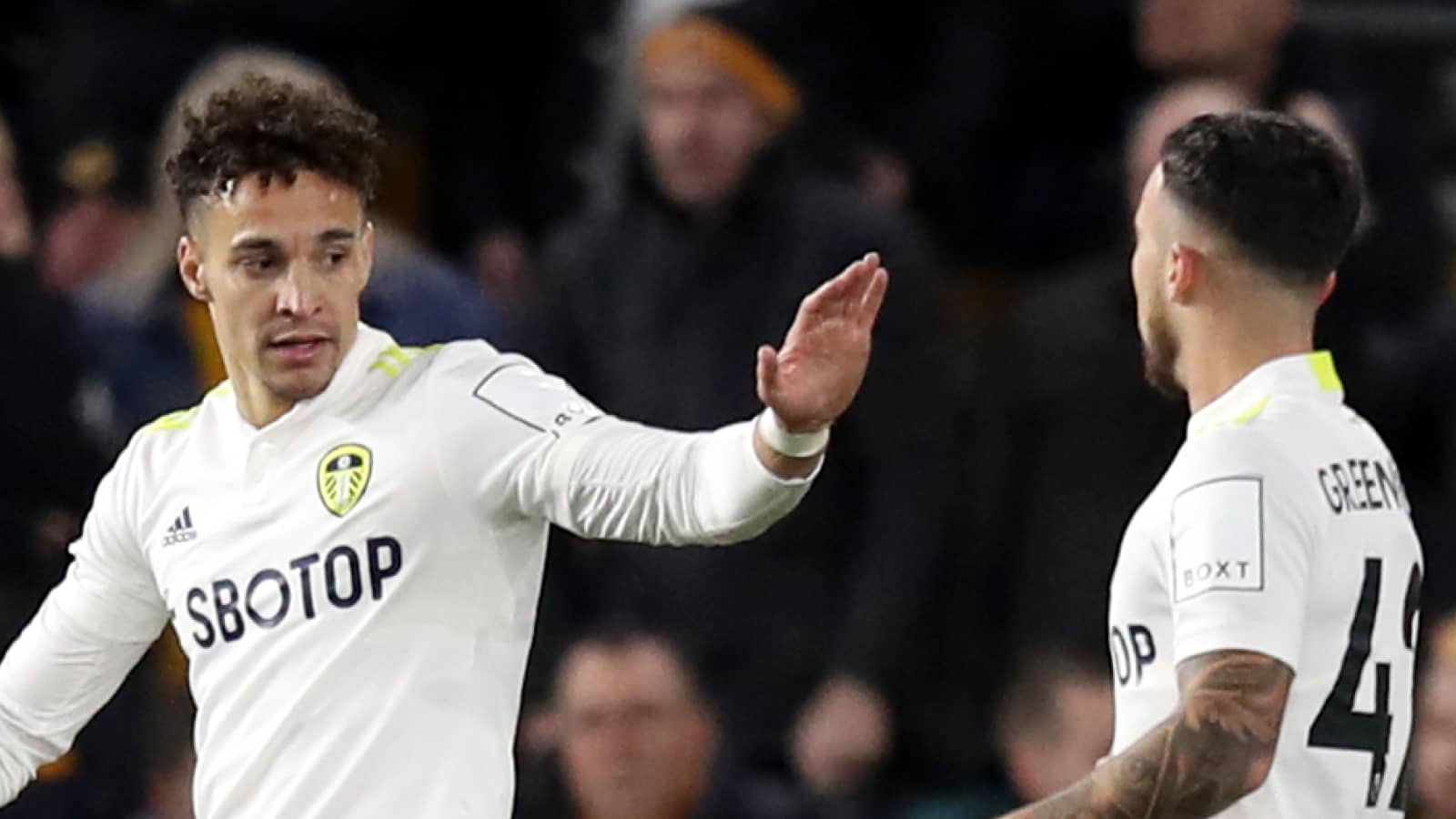 'Sky's the limit' for Leeds United youngster Sam Greenwood with shades ...