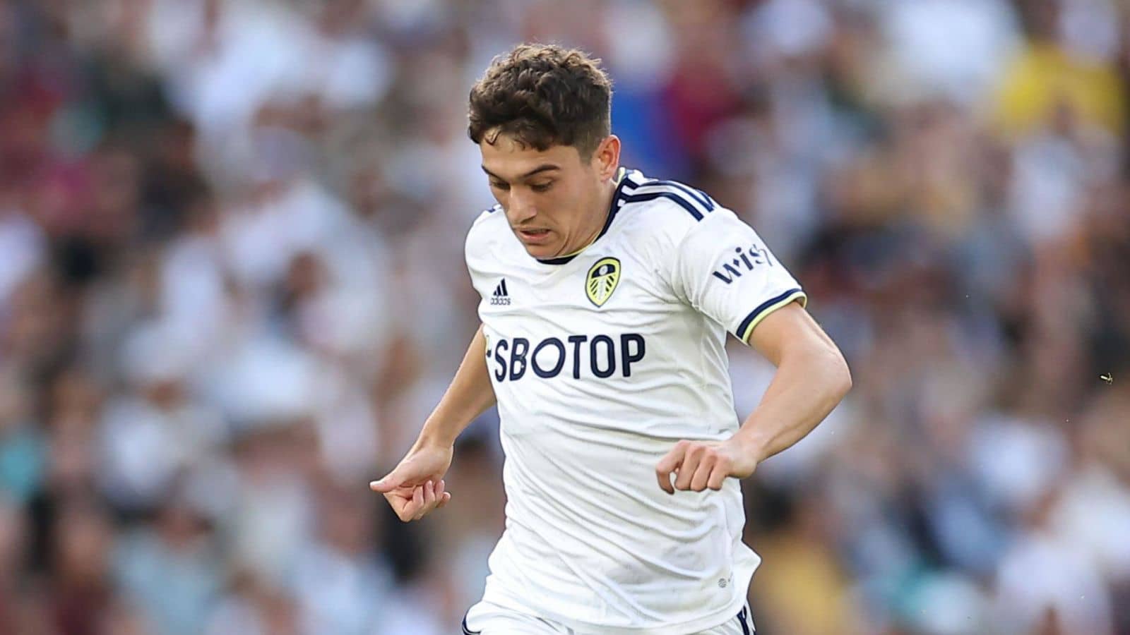 Dan James transfer latest: Problem emerges with Tottenham offer as new ...