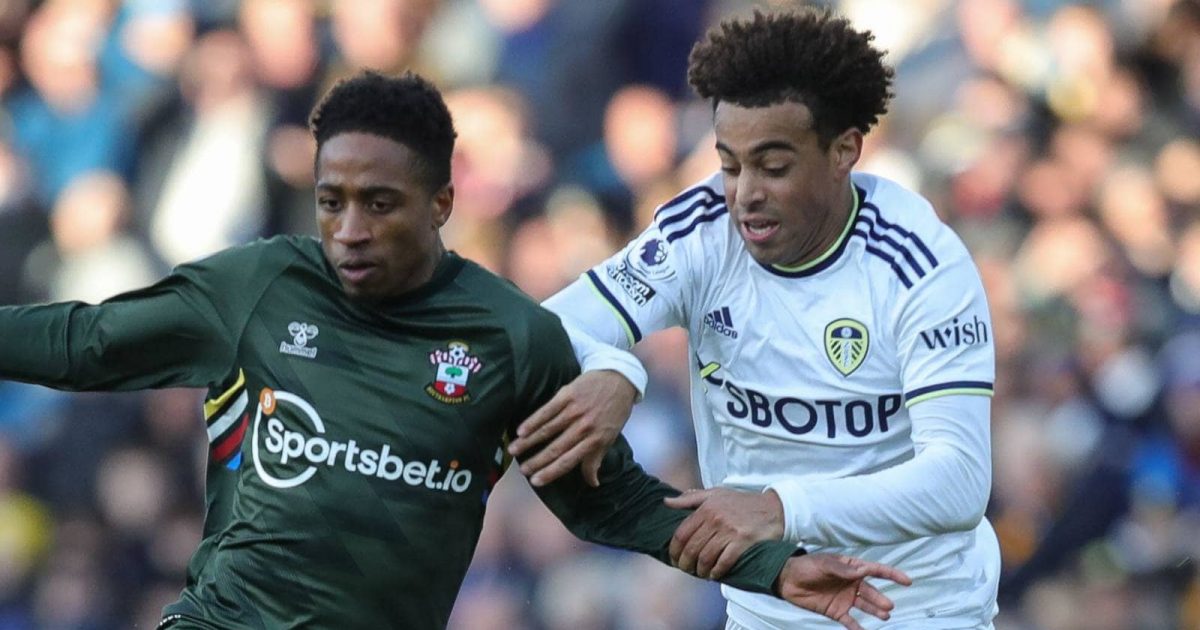 Tyler Adams: Chelsea snub leads Premier League rivals to trigger £20m ...