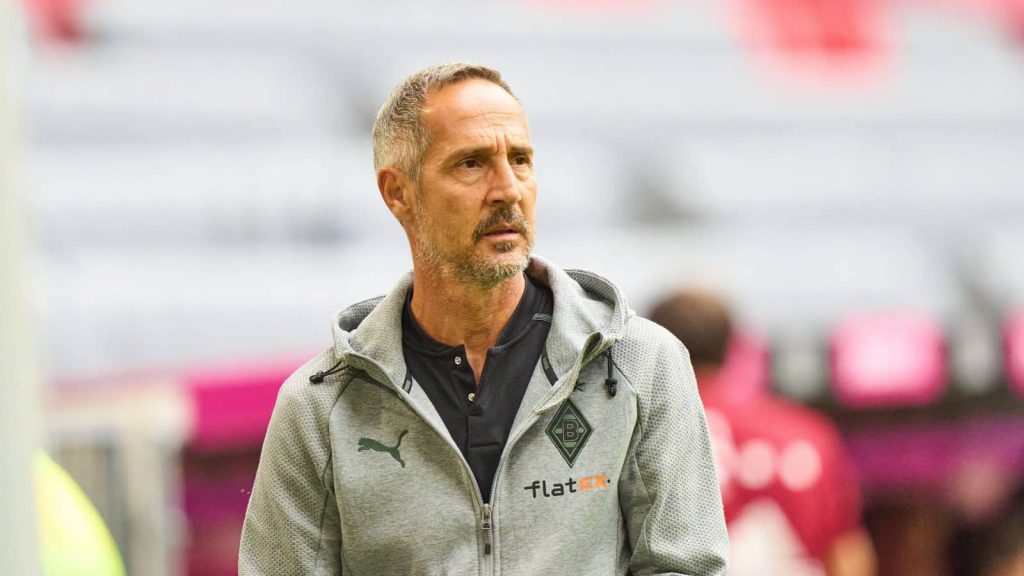 Next Crystal Palace boss: Steve Parish has 'already found' Hodgson ...