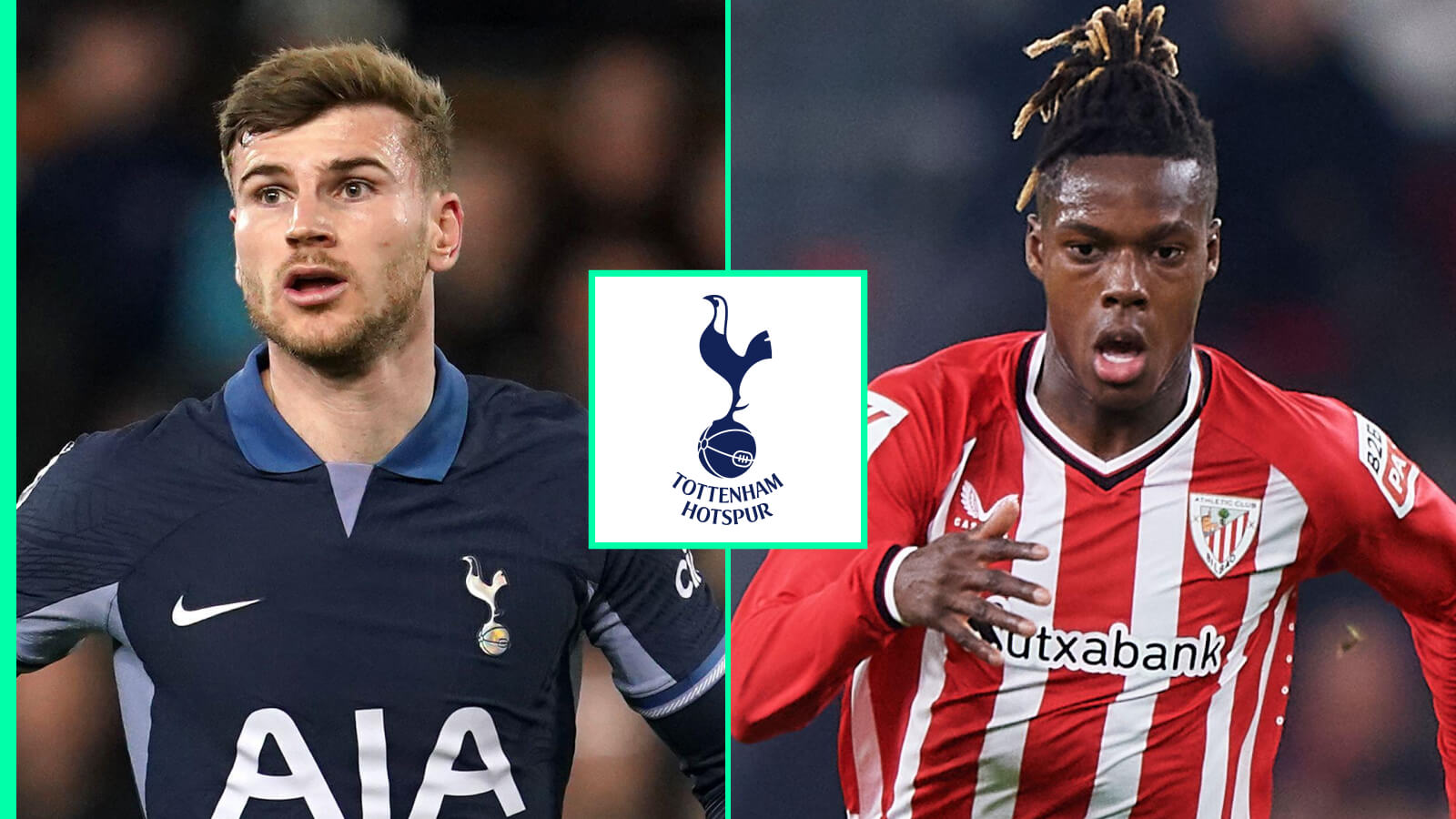 Recent Tottenham signing to be given 'thanks' and cut adrift after ...