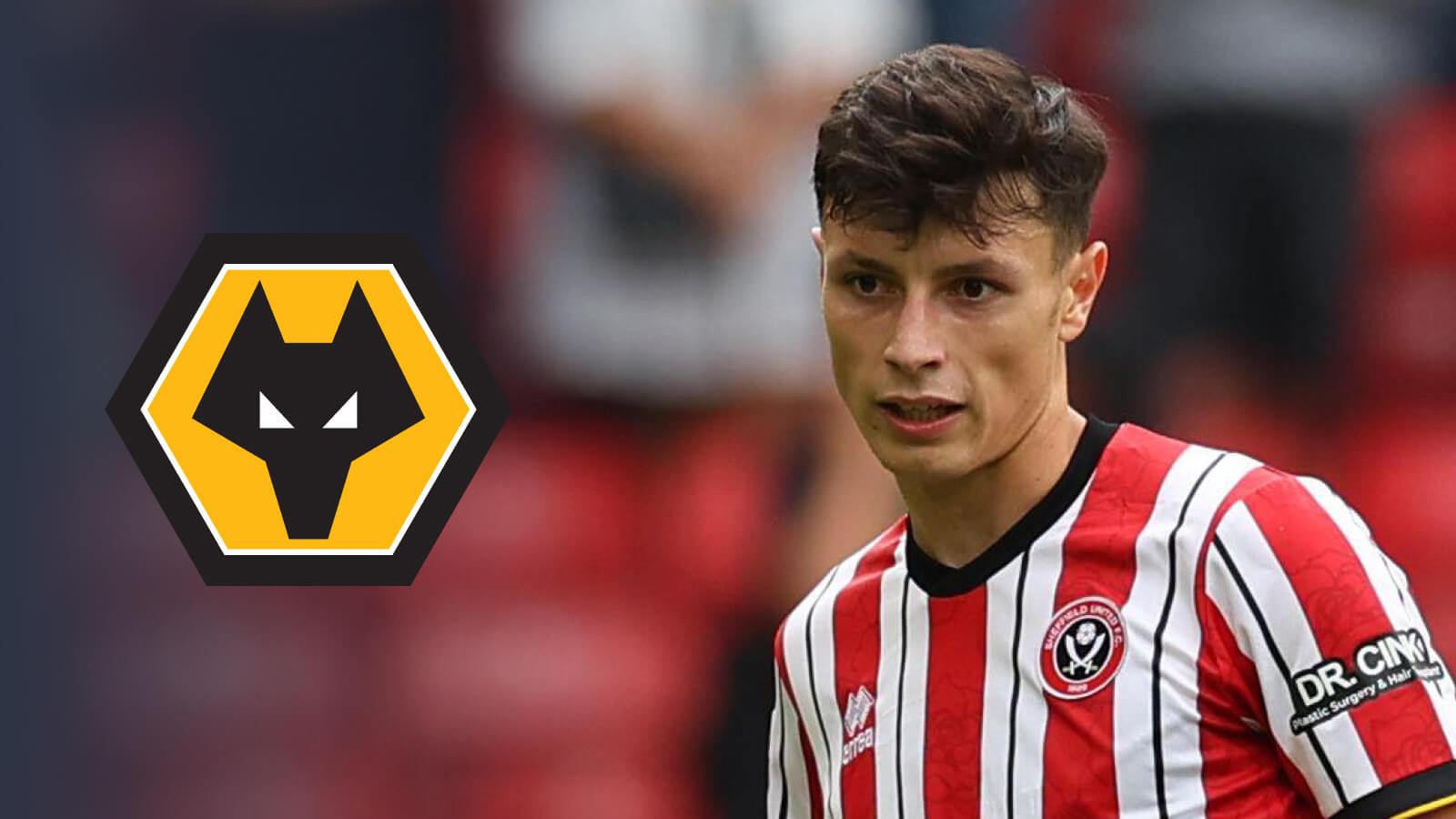 Wolves exclusive: Gary O'Neil turns to Championship stalwart to fill ...