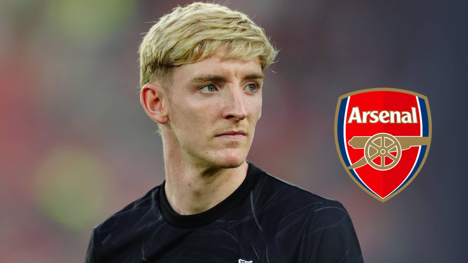 Romano drops truth on Arsenal approach for 20-goal Prem star, with ...