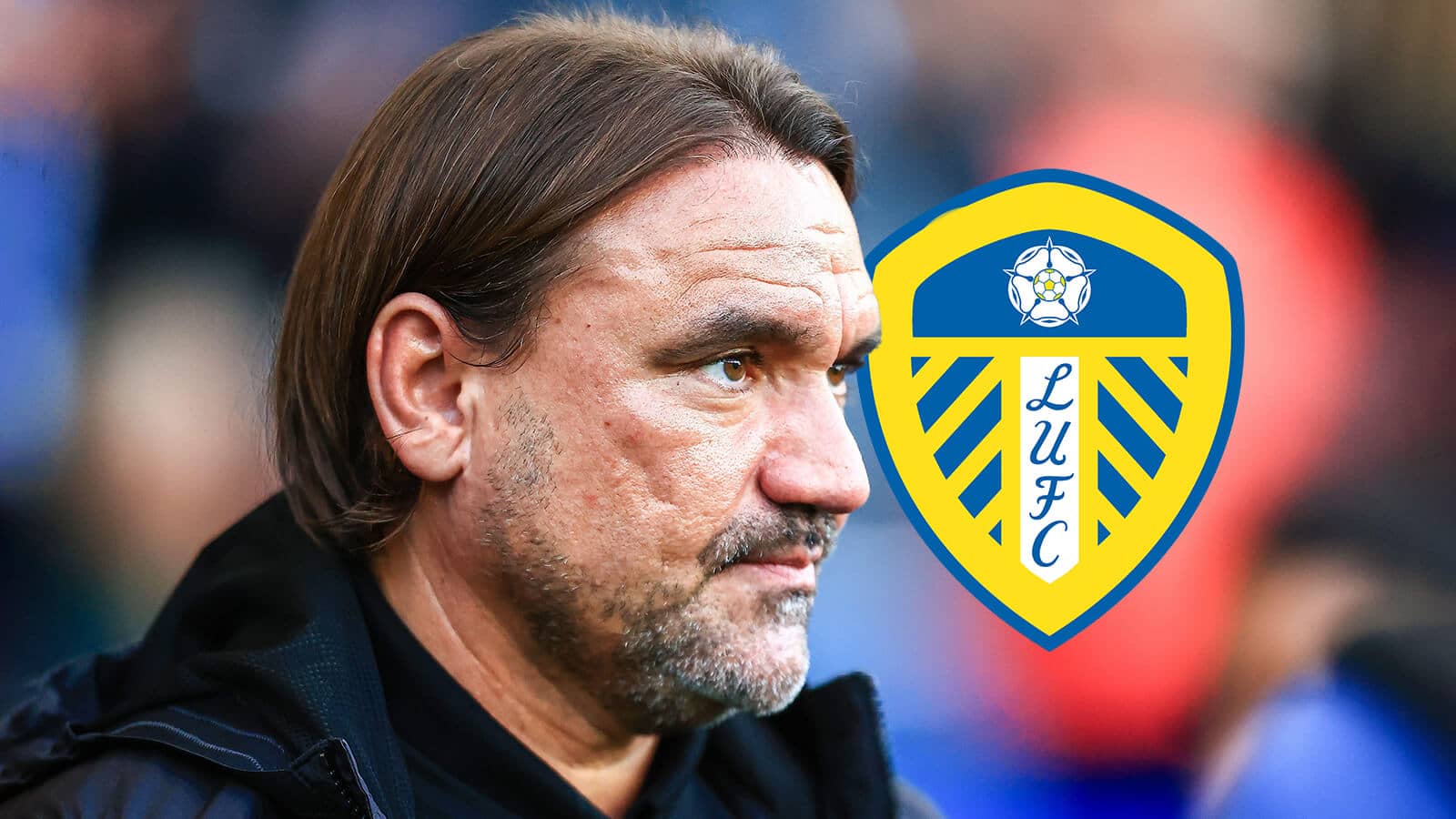 Daniel Farke sack: Boss told he has THREE games to save himself from ...