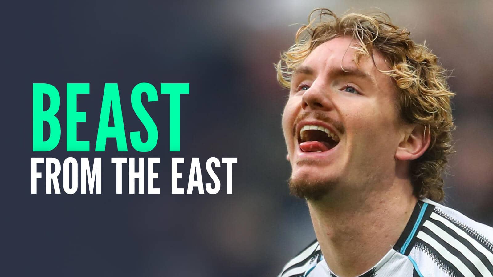 Nick Woltemade: Big striker shows again why Newcastle were this summer ...