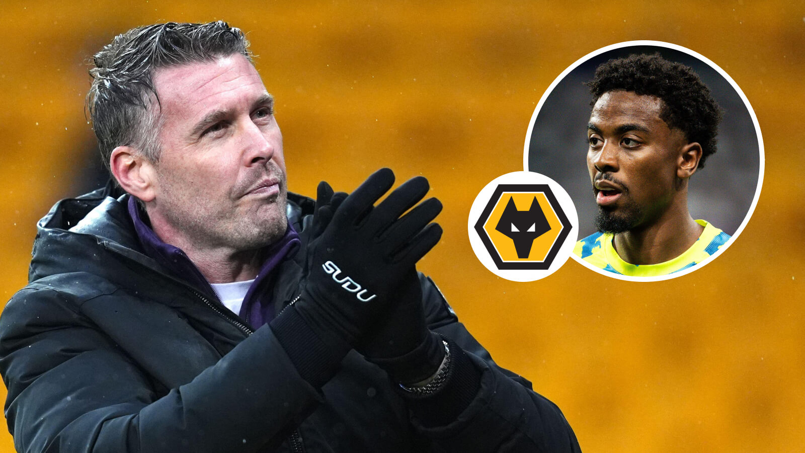 Wolves transfer news: Strong push made to sign ex-Man Utd star but ...