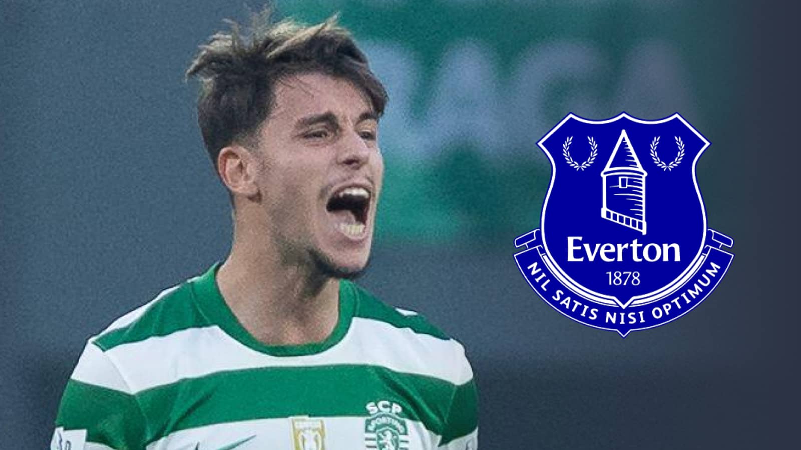 Everton transfers, transfer news, table, fixtures, results and stats ...