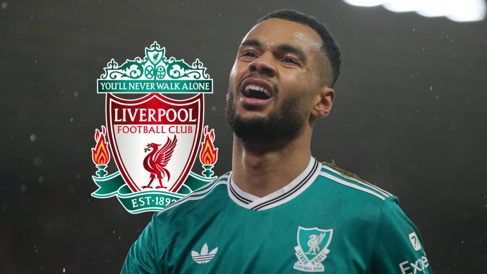 Liverpool transfers, transfer news, table, fixtures, results and stats ...